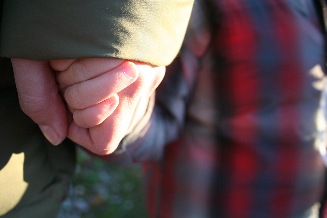 Reflections Finalists - WSPTA